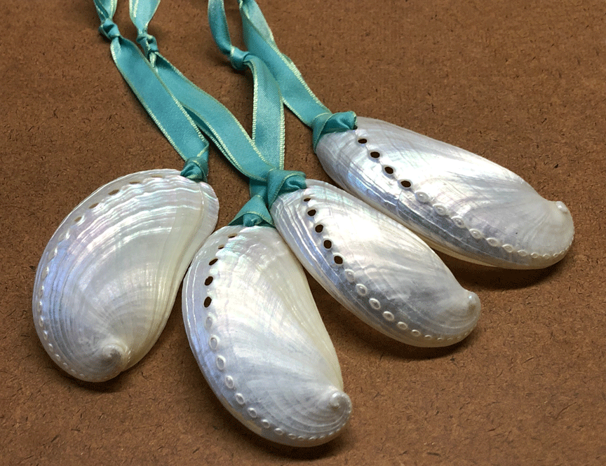 DIY Abalone Seashell Ornaments – Little Brown Cookbook