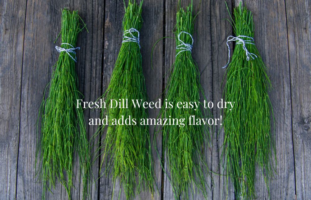 Incredible Dill & Onion Dip – Little Brown Cookbook